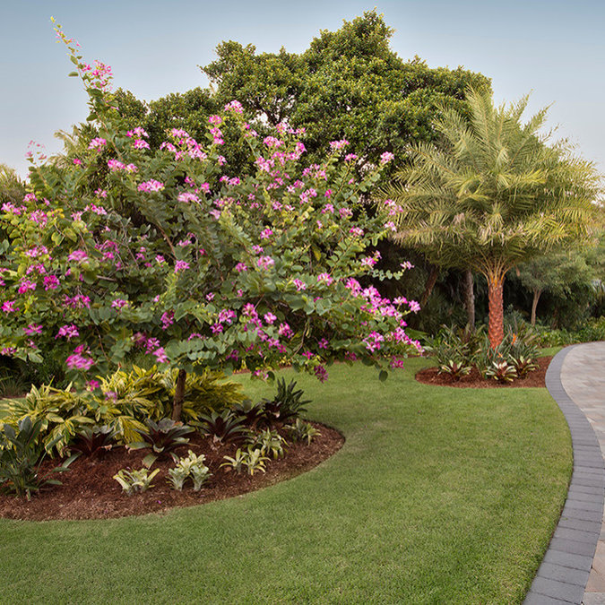 75 Beautiful Tropical Garden Ideas & Designs - July 2022 | Houzz AU