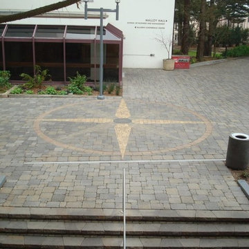 Compass Rose Paver Ideas - Photos & Ideas | Houzz