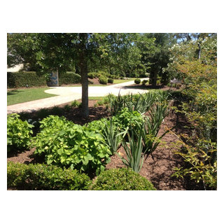 Compound on the beach! Family retreat..room for everyone! - Traditional ...