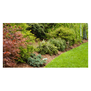 Conifer border - Landscape - Boston - by A Yard & A Half Landscaping ...