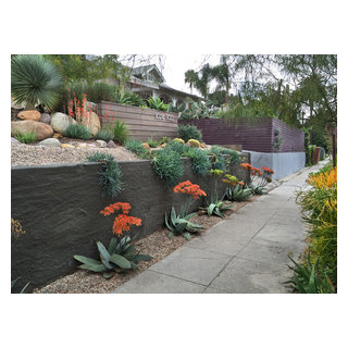 Conscious Stream Scape 2 Year Update - Silverlake - Contemporary ...