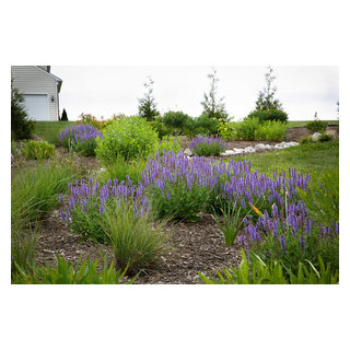 Conservation Meadowscape - Contemporary - Landscape - DC Metro - by ...