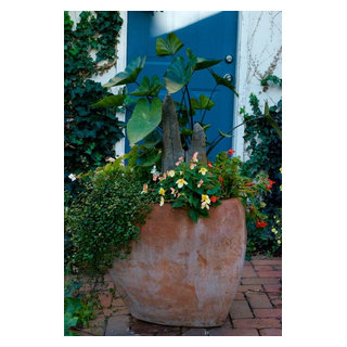 Containers - Contemporain - Jardin - Denver - par Columbine Design ...