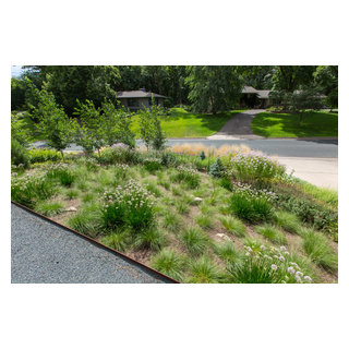 Contemporary Front Yard Meadow - Contemporary - Landscape - Minneapolis ...