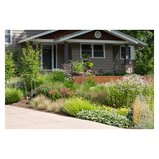 Contemporary Front Yard Meadow - Contemporary - Landscape - Minneapolis ...