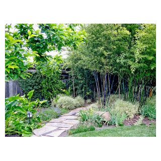 Contemporary Landscape - Contemporary - Landscape - San Francisco - by ...