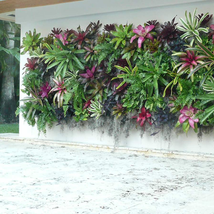 75 Beautiful Landscaping With Bromeliads Home Design Ideas & Designs ...