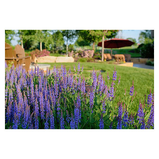 Corcoran, MN, Residential Landscape - Traditional - Landscape ...