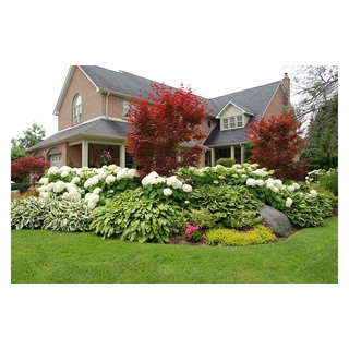 Corner lot design bold and beautiful - Transitional - Landscape ...