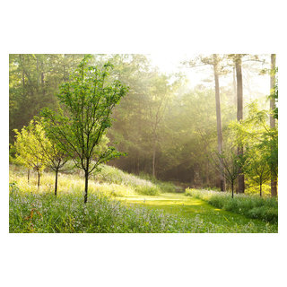 Country Living - Traditional - Landscape - Atlanta - by Ed Castro ...