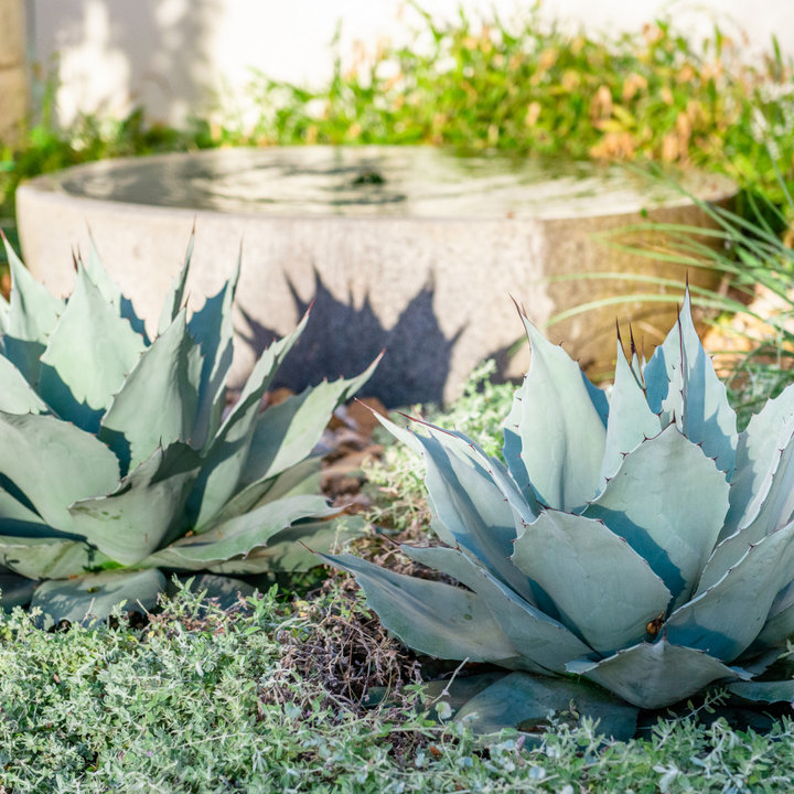 Courtyard Water Feature - Photos & Ideas | Houzz
