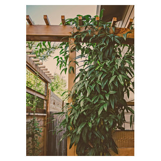 Craftsman-Style Cedar Vine Arbor @ Sideyard Walkway - Craftsman ...