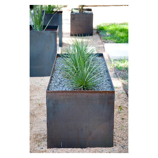 Crestview - Modern - Landscape - Austin - by Native Edge Landscape | Houzz