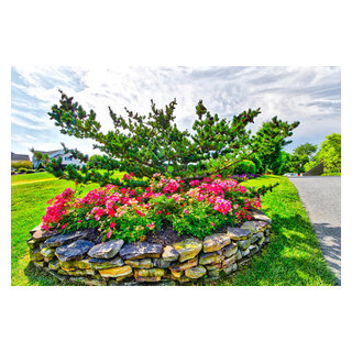 Custom Pool and Patio Brownstown PA Project - Traditional - Landscape ...