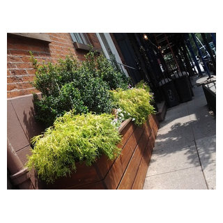 Custom sidewalk planter box for Greenwich village townhouse - Asian ...
