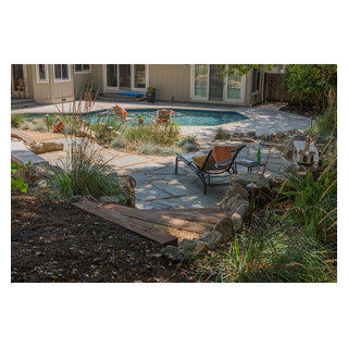 Danville BackyardRenovated pool with Yellow Moss Rock waterfall, stone ...