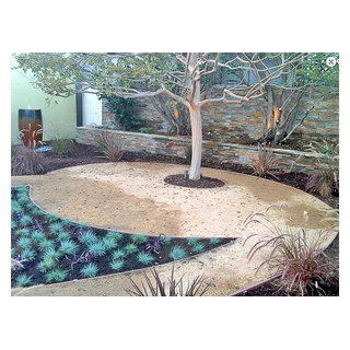 Decomposed Granite-DG Walkway & Area - Traditional - Landscape - Los ...