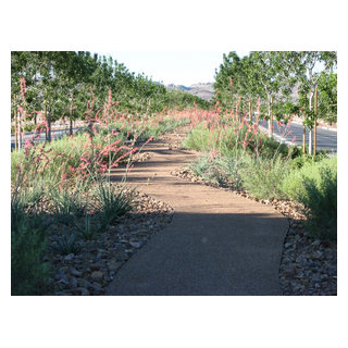 Decomposed Granite Path - Rustic - Landscape - San Francisco - by SW ...
