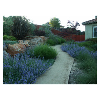 Decomposed Granite Pathway - Mediterranean - Landscape - San Francisco ...