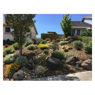 Deer Resistant Landscape - Rustic - Landscape - San Francisco - by SW ...