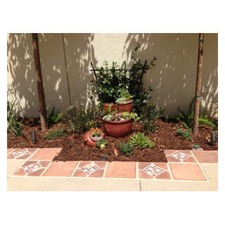 Del Sur "The Sentinels" - Tropical - Landscape - San Diego - by Belle ...