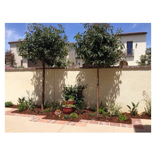 Del Sur "The Sentinels" - Tropical - Landscape - San Diego - by Belle ...
