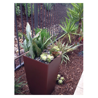 Del Sur "The Sentinels" - Contemporary - Landscape - San Diego - by ...