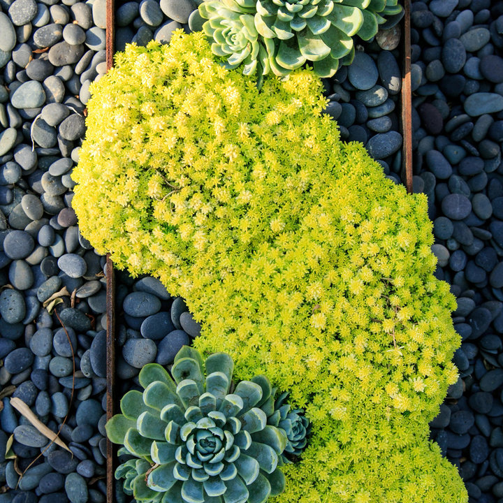 Fotos de jardines | Diseños de jardines modernos - Febrero 2023 | Houzz ES