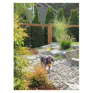 Dog Friendly Landscape - Traditional - Landscape - Portland - by ...