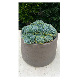 Downtown San Diego Canyon Oasis - Modern - Garden - San Diego - by ...