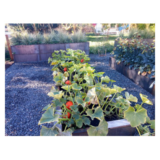 Downtown Steel Planters and Steel Rain Gardens with Runnels ...