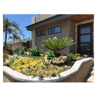 Drought Tolerant Front Yard Planting - Contemporary - Landscape - San ...