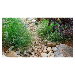 Dry creek bed close-up - Eclectic - Landscape - Charlotte - by Jay ...
