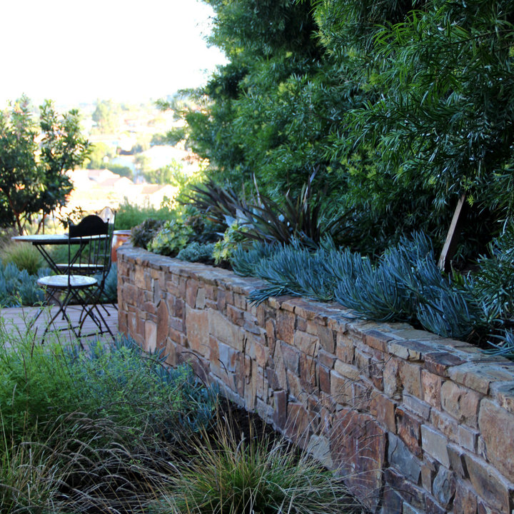 Dry Garden - Photos & Ideas | Houzz