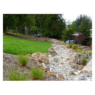 Dry Stream Bed - Traditional - Landscape - San Francisco - by O'Connell ...