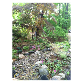 Dry stream garden - Transitional - Landscape - New York - by Pierce ...