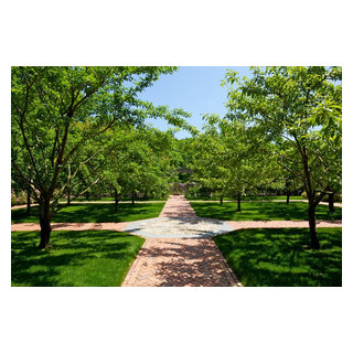 Dwarf Fruit Tree Orchard - Traditional - Landscape - New York - by The ...