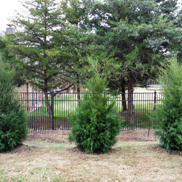 Windbreak Ideas - Photos & Ideas | Houzz