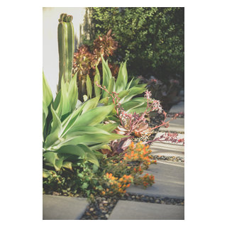 Eco Modern - Modern - Landscape - by Eco Landscape Design & Build | Houzz