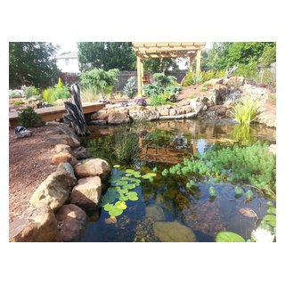 Ecosystem Ponds, Water Garden Ideas for Your Austin, Central Texas ...
