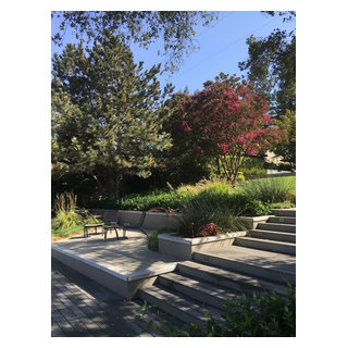 Edgewood Residence - Transitional - Landscape - Sacramento - by The ...