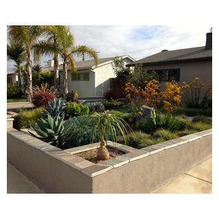 Elevated Modern Garden - Contemporary - Landscape - San Diego - by SD ...