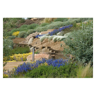 Embracing the Landscape - Transitional - Landscape - San Francisco - by ...