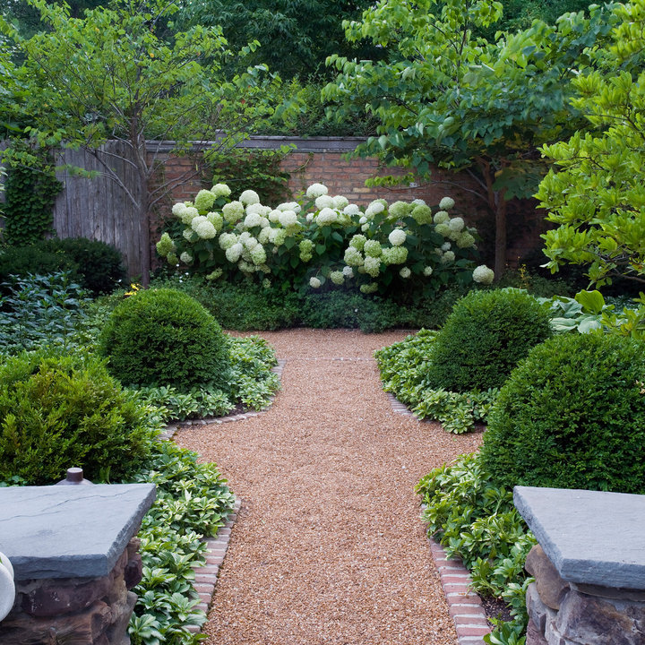 Cloud Pruned Hedge Boxwoods - Photos & Ideas | Houzz