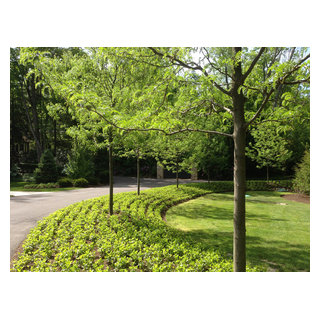 Entry Drive Planting - Traditional - Landscape - Cleveland - by LWB ...