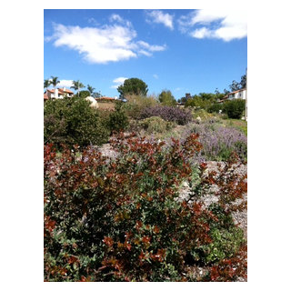 Escondido Native Gardens - Mediterráneo - Jardín - San Francisco - de ...