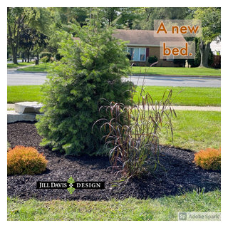 Evergreen tree. Outcropping, Blackhawk grass, Fire chief shrubs ...