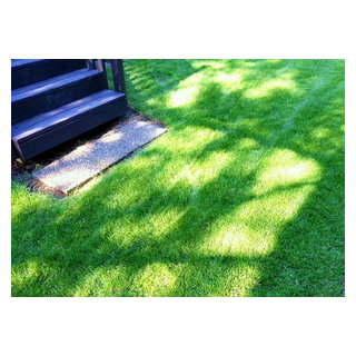 Extreme LandscapeMakeover Turf: "Agroscopic Turf Surgery" - Landscape ...