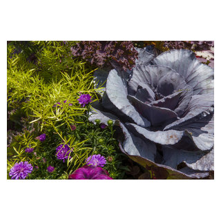 Fall Flowers - Traditional - Landscape - Chicago - by Chalet | Houzz