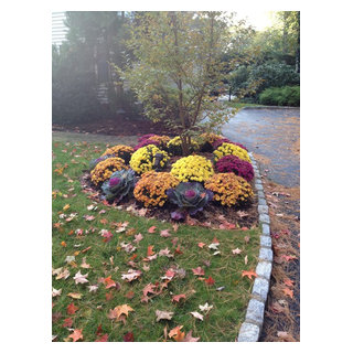 Fall Seasonal Color - Landscape - New York - by R&S Landscaping | Houzz